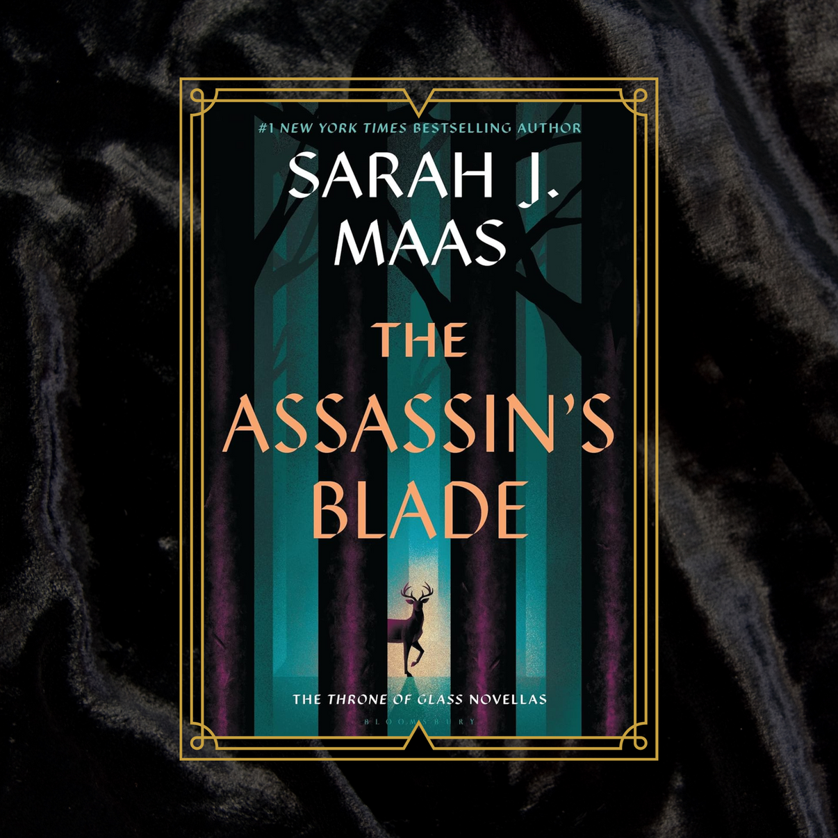 The Assassin's Blade by Sarah J Maas - TOG (Throne of Glass) Prequel ...